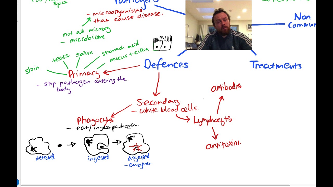 Disease Mindmap (AQA GCSE Biology)