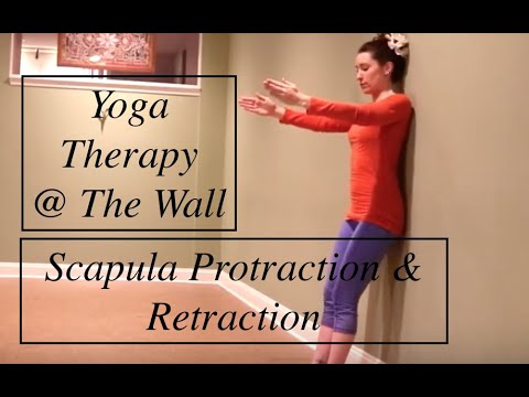 Scapula Protraction & Retraction: "YOGA THERAPY @ THE WALL" - LauraGyoga