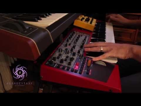 Nord Rack 2x Virtual Analog Synth | Reverb
