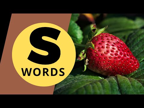 Words That Begin With S Sound - Learn Words That Begin With S