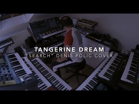 Tangerine Dream "Search" ( cover by Denis Polic )