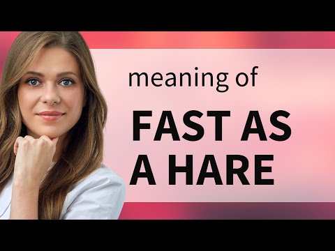 Fast as a Hare: Exploring Idiomatic Expressions in English