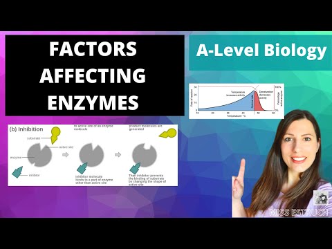 Factors Affecting Enzymes: Temperature, pH, substrate & Enzymes concentration and Inhibitors.