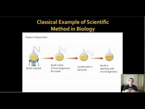 Classic Biology Example of Scientific Process: Spontaneous Generation vs. Biogenesis