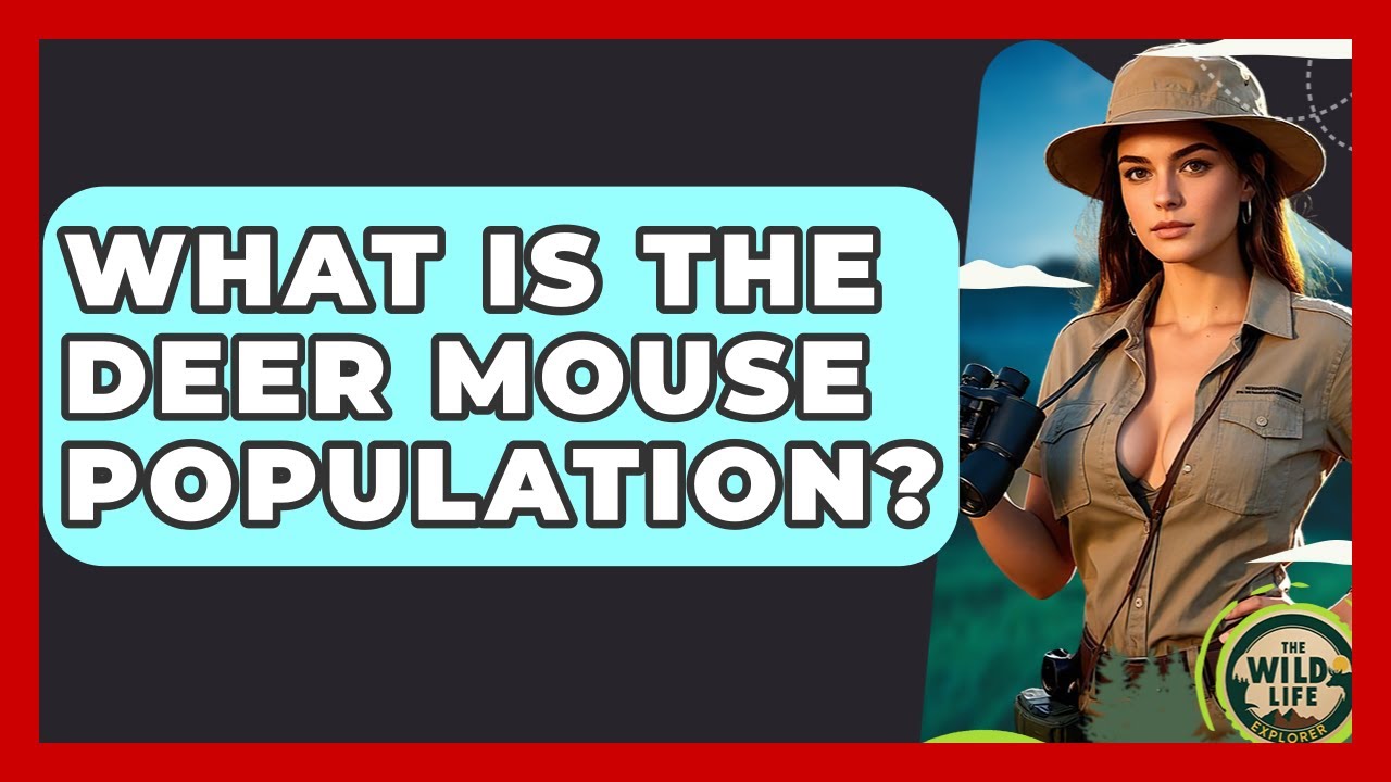 What Is The Deer Mouse Population? - The Wild Life Explorer