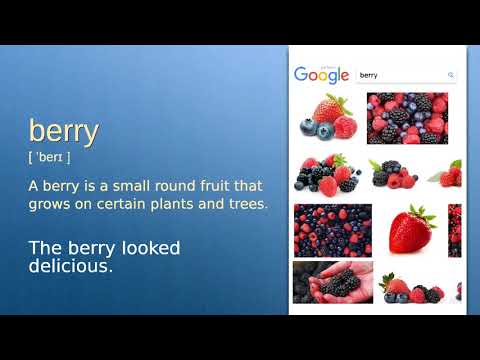 Berry : B2 level english vocabulary lesson, www.LipLix.com