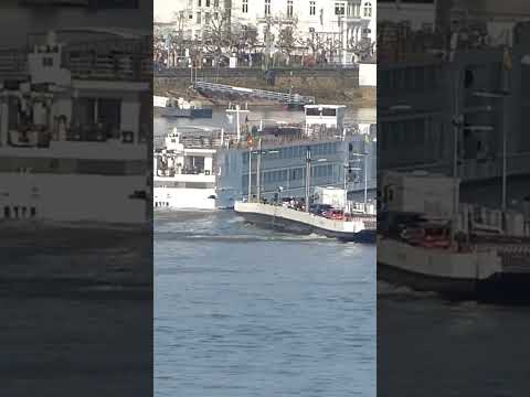 two ships almost colliding #ship #nature #river #watersounds #maritime #vessel #ships #damn #rhine