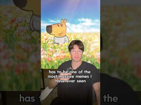 Chill Guy meme is MASSIVE