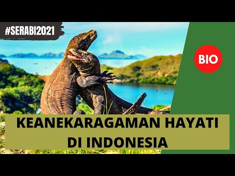 KEANEKARAGAMAN HAYATI DI INDONESIA - BIOLOGI - Kelas X SMK dan SMA #SERABI