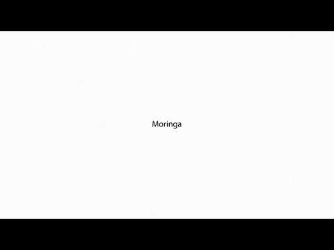 Moringa PRONUNCIATION