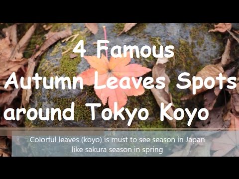 4 Famous Autumn Leaves Spots around Tokyo Koyo