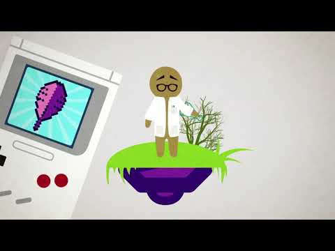 Photosynthesis