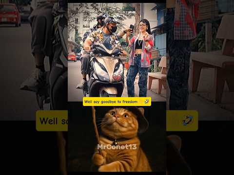 well i guess this will be the invited from jailβ οΈπ€£(cre on description)#cat #memes #explore #funny