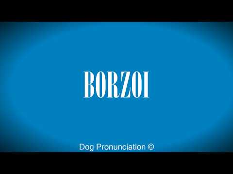 How to pronounce BORZOI