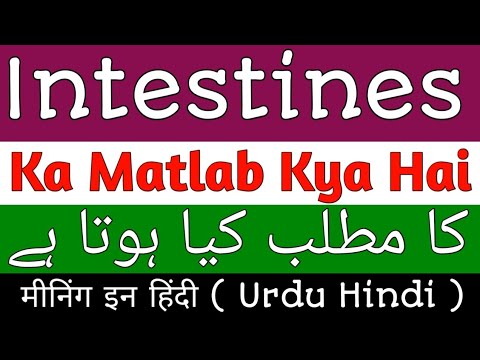 Intestines Meaning | Intestines Meaning In Urdu Hindi | Intestines Ka Matlab | Intestines Ka Meaning