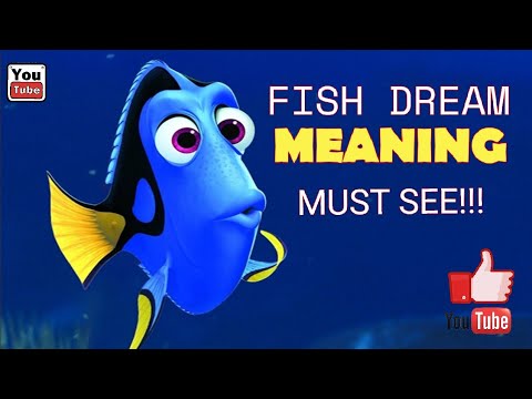 Fish Dream Meaning | Islamic Interpretation Of Seeing Fish In Dream