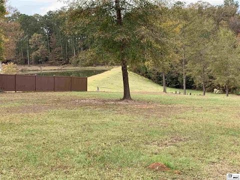 John Rea Realty - 990 Johnson Road, Tract A, West Monroe, LA 71291