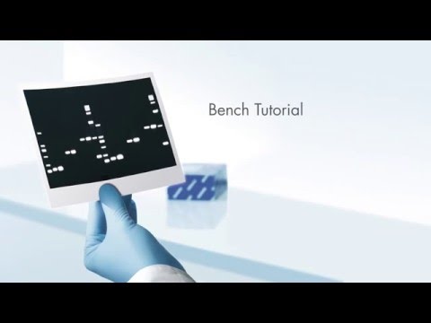 Bench tutorial – how to run excellent agarose gels