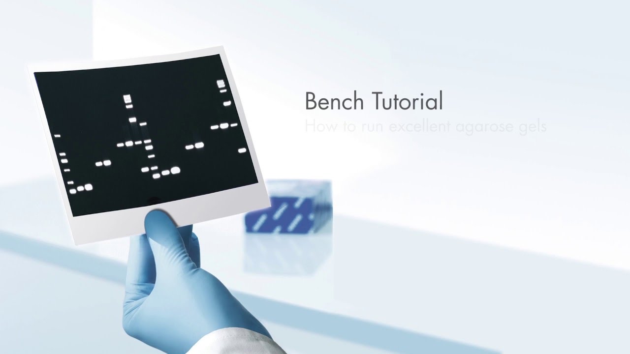 Bench tutorial – how to run excellent agarose gels