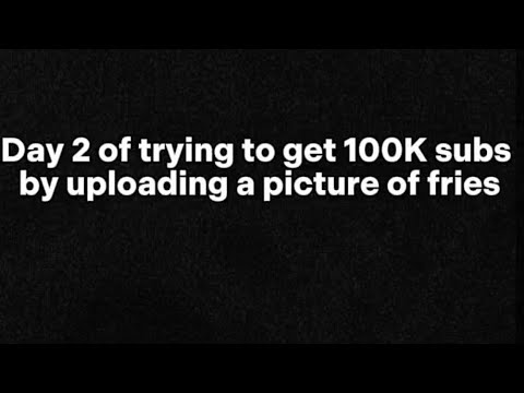 Day 2 of trying to get 100k subs by uploading a picture of fries