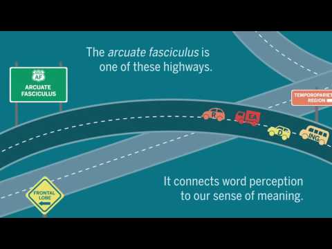 What is dyslexia? – Decoding Dyslexia Ontario
