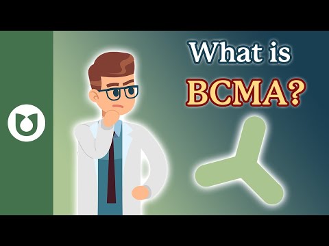 Immunotherapy Targets: What is BCMA and why is it a good target ...