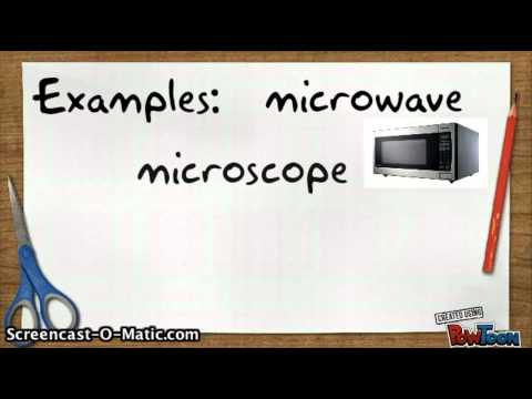 Common Word Study: Micro