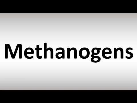 How to Pronounce Methanogens