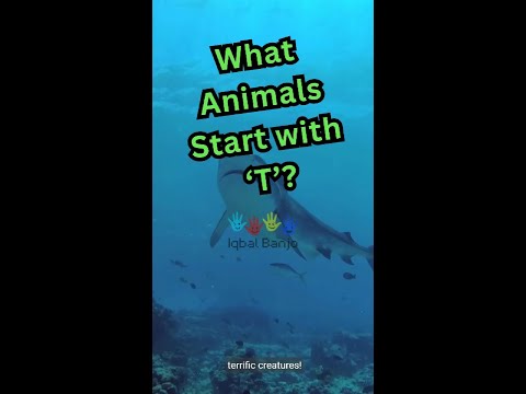 Alphabet Animal Start with the Letter T [English] : Tiger, Turtle, Toucan, Tarantula, Tapir, Tarpon