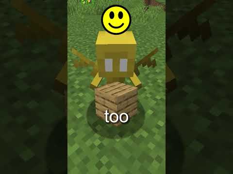 The Sad Lore Of The Gold Allay In Minecraft