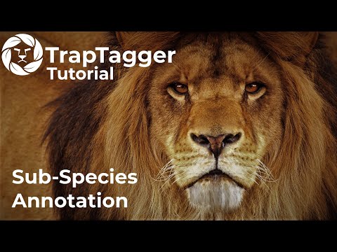 TrapTagger: Sub-Species Annotation