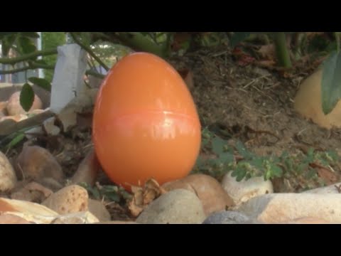 Anonymous ‘golden egg lady’ hiding hundreds in cash around Jacksonville