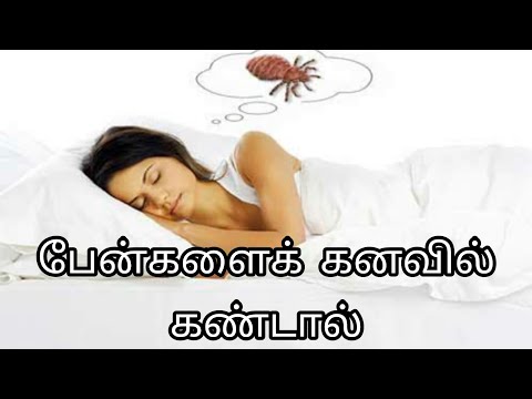 பேன்களைக் கனவில் கண்டால் | paenkalai kanavil kandal enna palan | lice in dream | Anita's clips