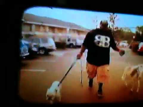 Rob and big intro