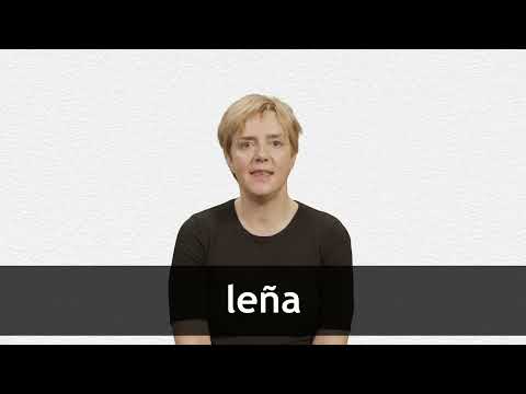 English Translation of “LEÑA” | Collins Spanish-English Dictionary