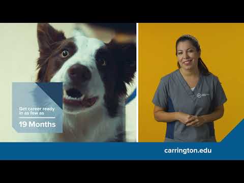 Carrington Health Care Difference - Veterinary Technology