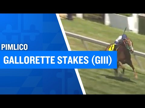 2025 $150,000 Gallorette Stakes (G3) at Pimlico