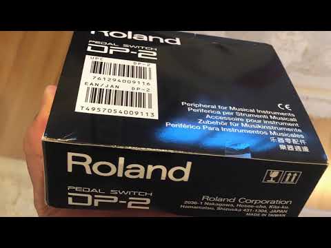 Roland DP 2 iMuso