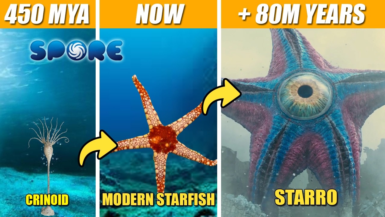 How Starro Might Have Evolved, Simulated in SPORE