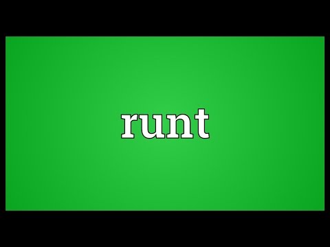 Runt Meaning