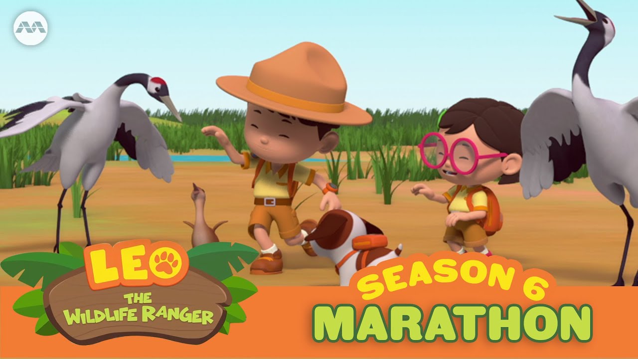 Leo The Wildlife Ranger Season 6 EP1 - 20 | @mediacorpokto ​ #marathon
