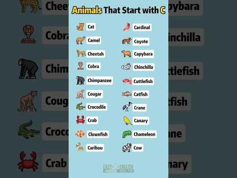 Learn Animals That Start with C #english #vocabulary