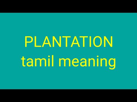 PLANTATION tamil meaning/sasikumar