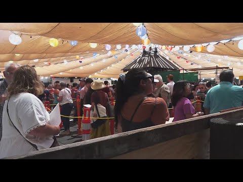 Japanese food and culture bazaar returns after 2 year hiatus