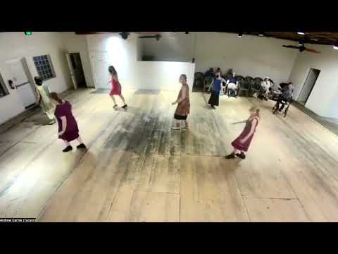 Folk Dance Musings ©: Hambo (Sweden)