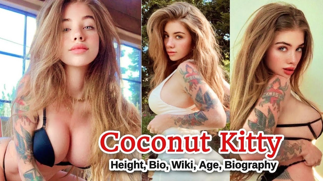 Coconut Kitty || Biography || Curvy || Instagram Model