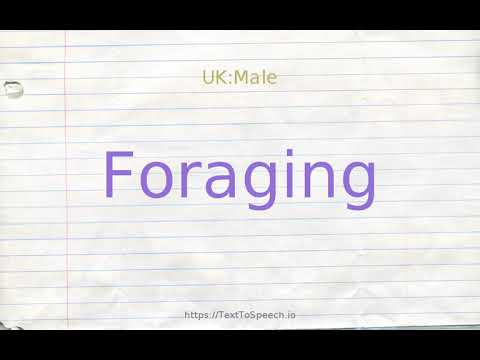 How to pronounce foraging