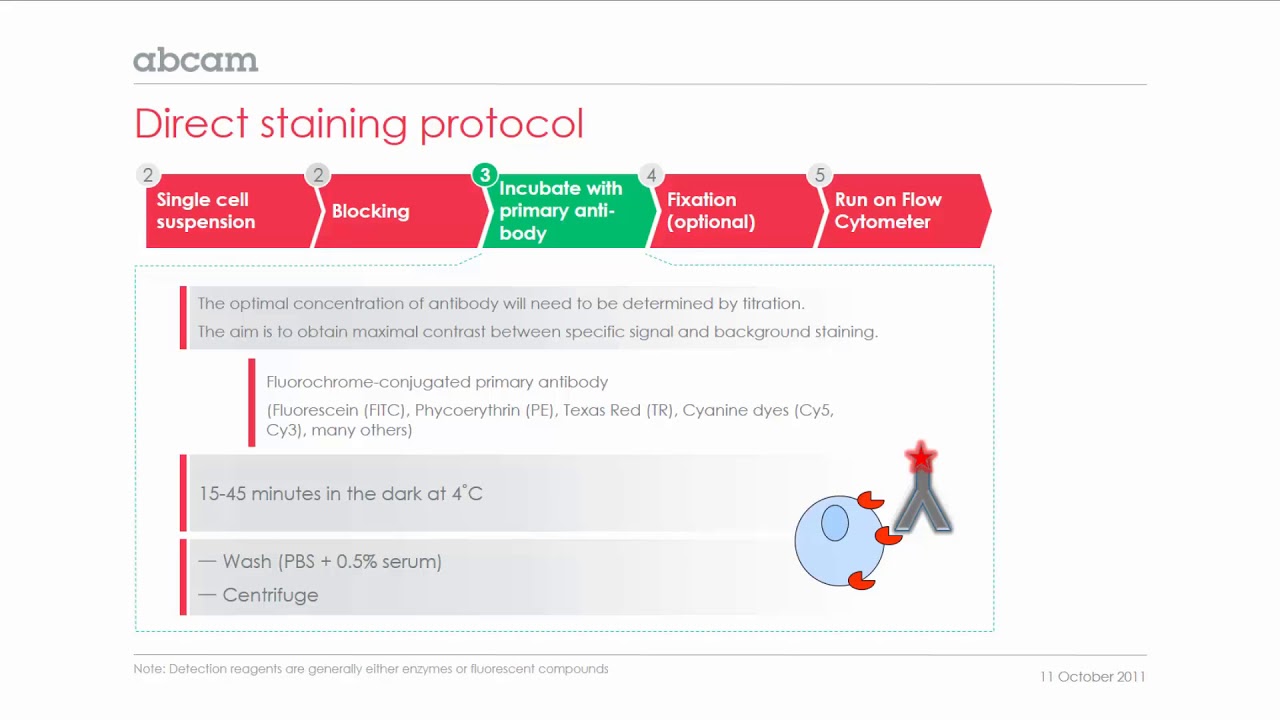 Flow cytometry: direct vs indirect staining