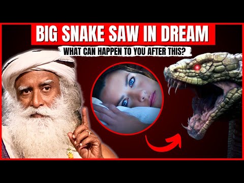 What Happens When We SAW SNAKE IN DREAM? | What If We Saw Snake In Dream? | Dreaming Of SNAKES