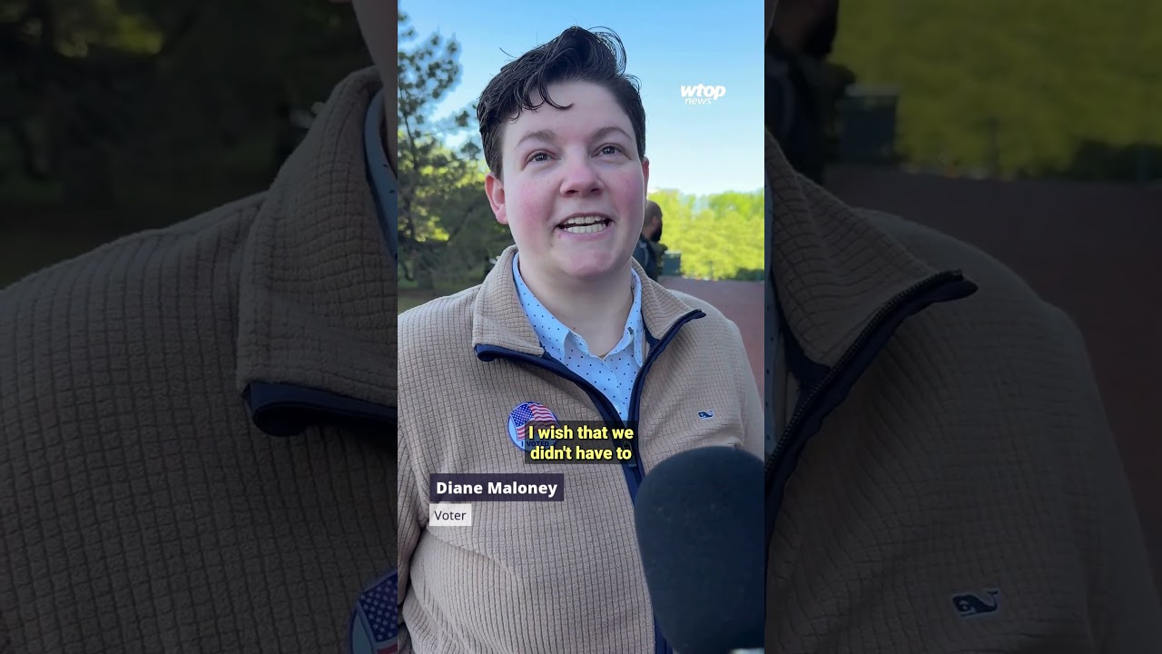 How Virginia voters are approaching the redistricting election